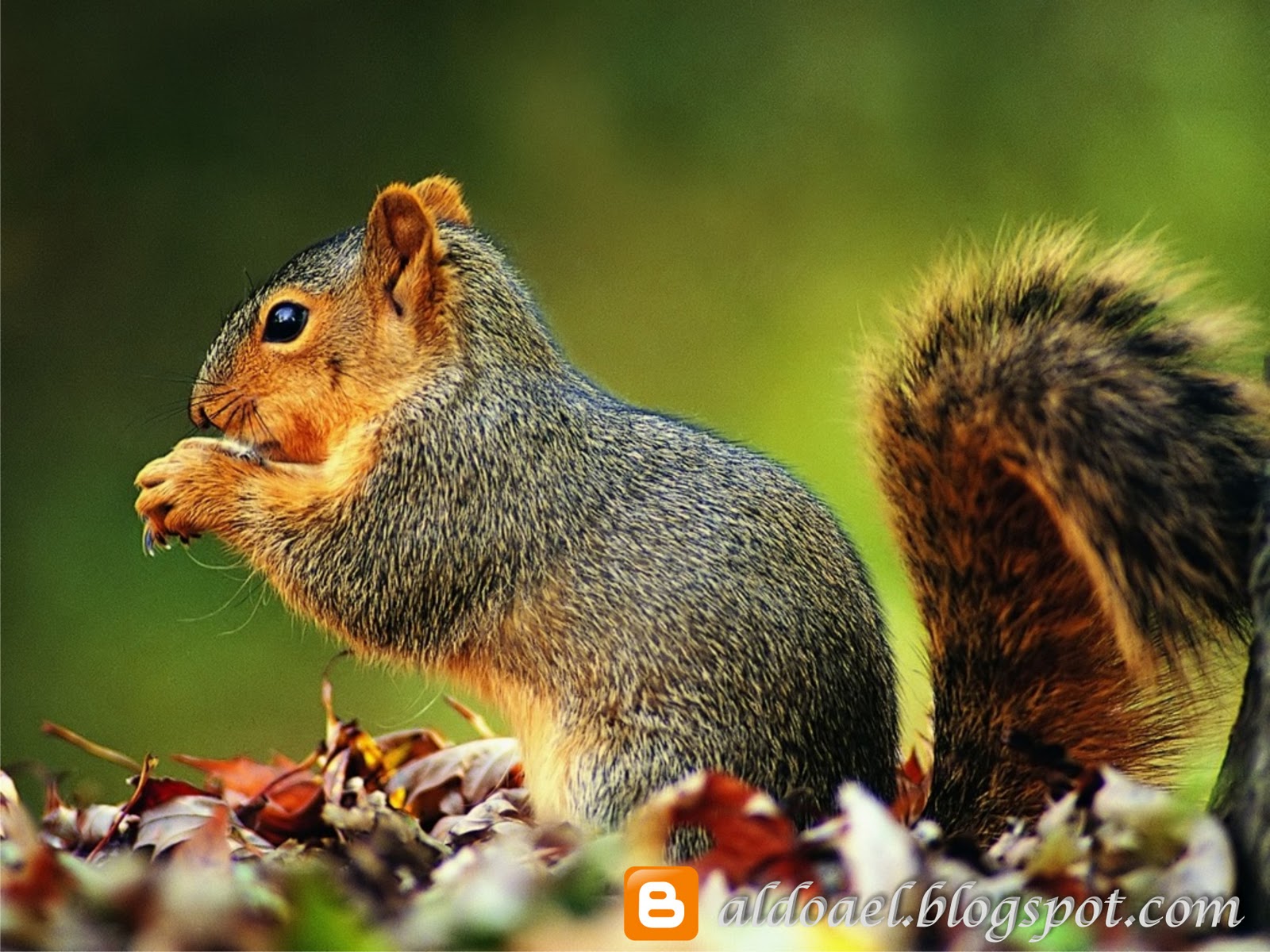 Blog Biologia: ¿Sabias Que?