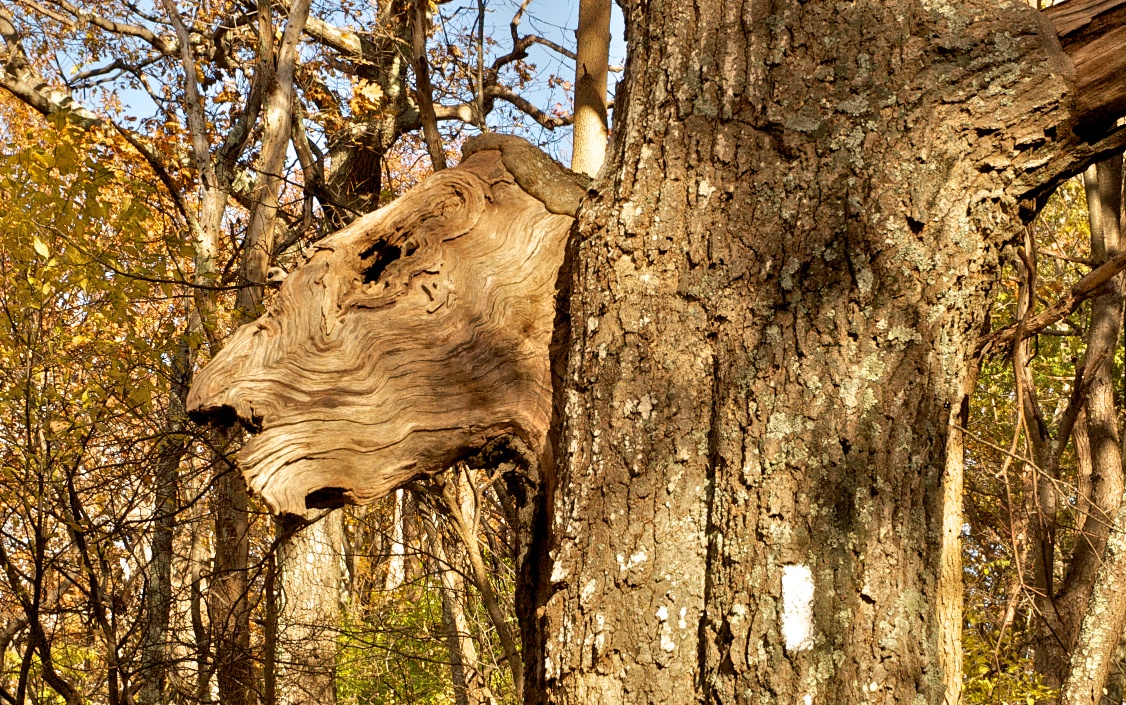 Kevin DuBois Travel and Photography: AT Hike: Rock Spring Hut to ...