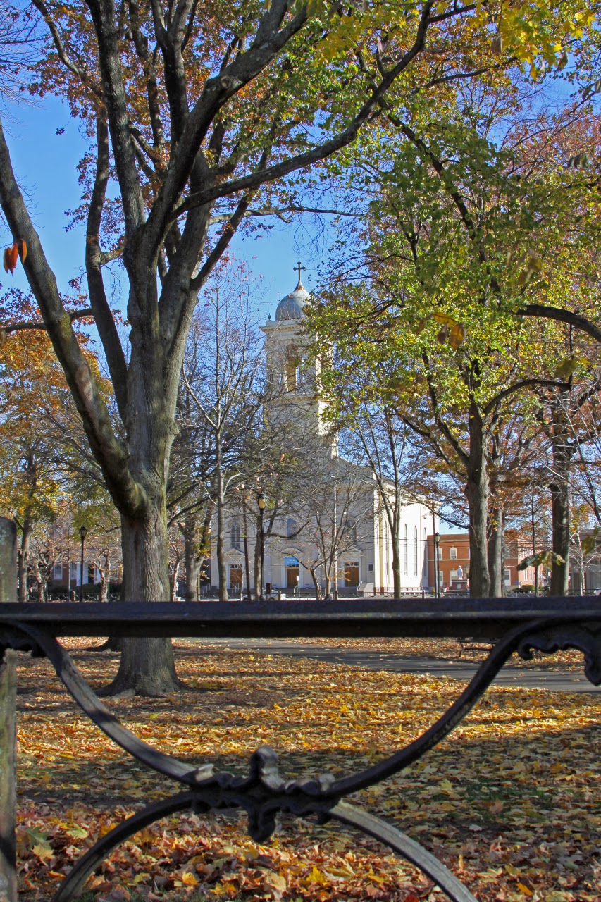 Wooster Square Blossom Blog: Frosty & Flagrant Frigid Follows Fall in ...