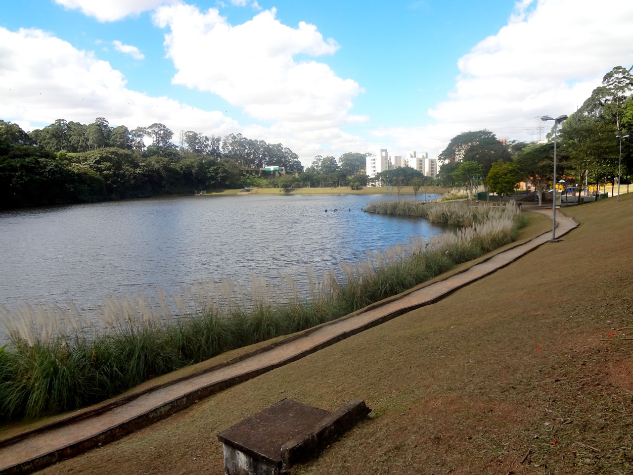 Parque Cidade de Toronto em São Paulo ~ Áreas Verdes das Cidades - Guia ...