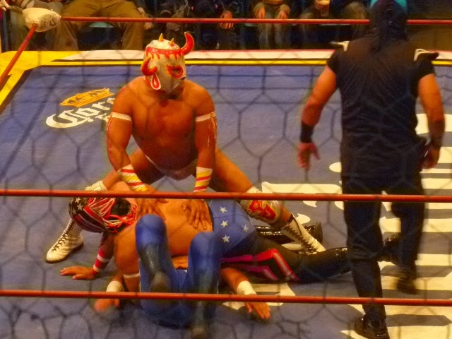 Lucha (Deporte): REGLAS LUCHA LIBRE