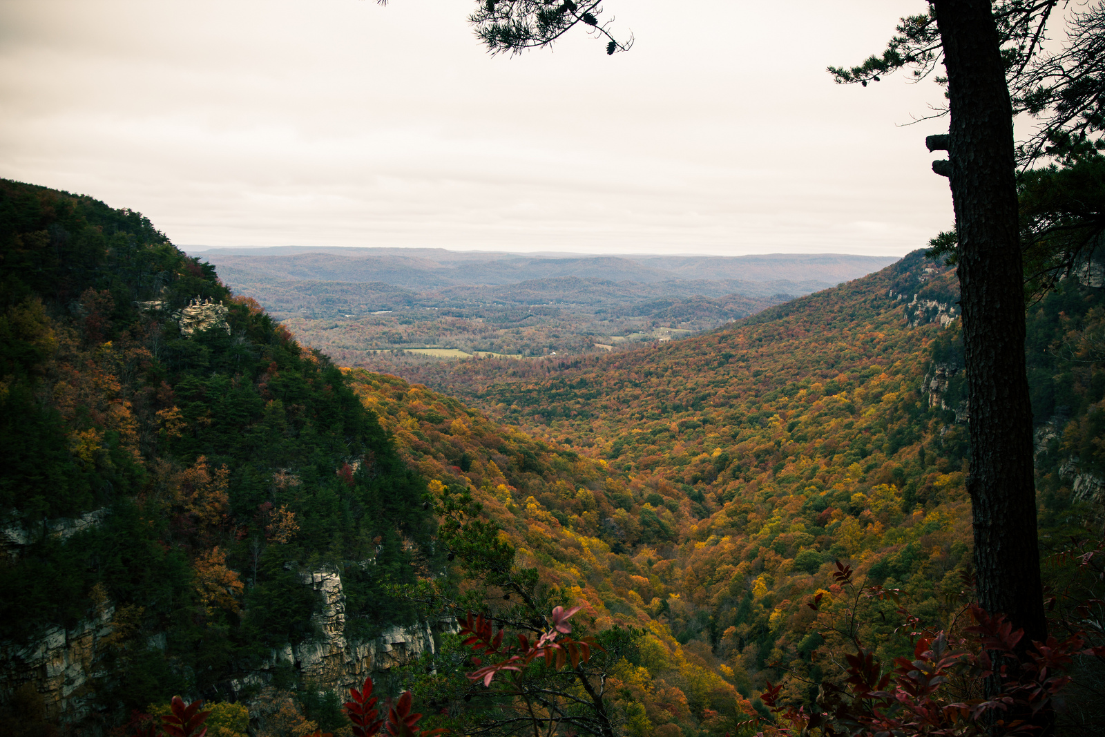 Southern Wanderings: Top 10 Hikes in Chattanooga