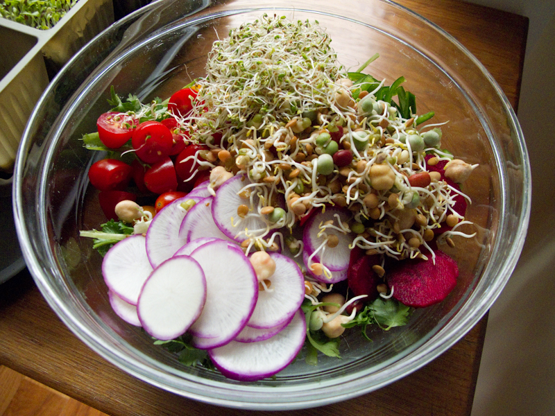 Chef Tony Pisconeri: Grow your own Fresh Sprouts and Micro Greens