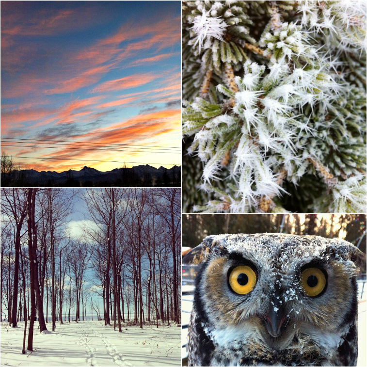 Winter Faves | To & Fro