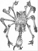 Raging Owlbear: D&D 5e: Bone Swarm Skeleton