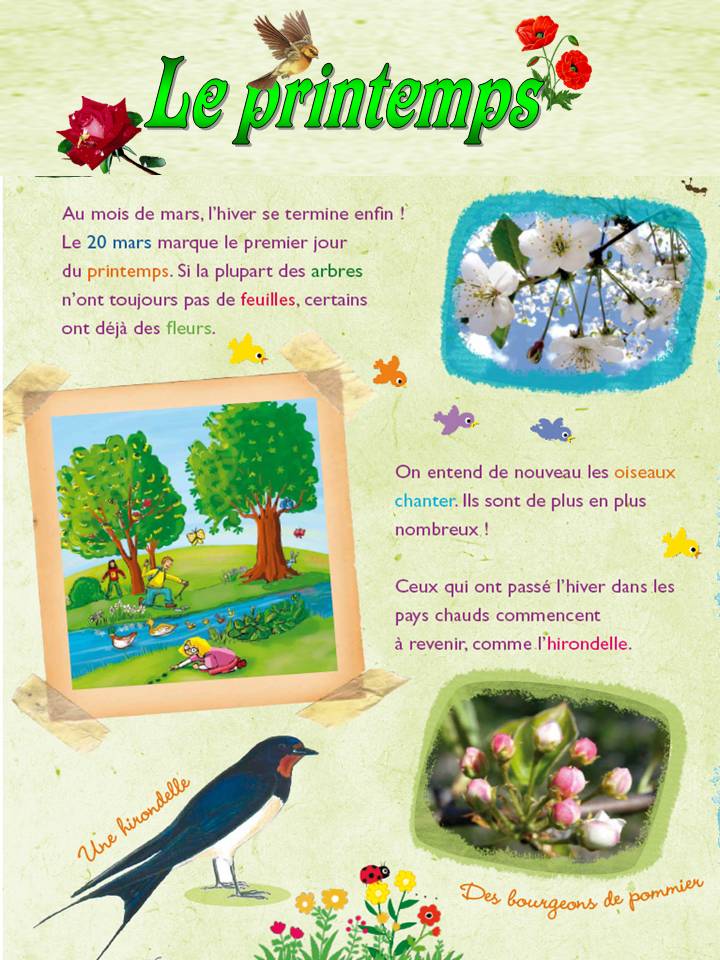 Les saisons : des expressions sur le printemps