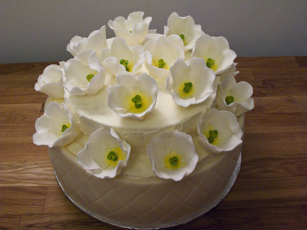 Hélène Fondant designer
