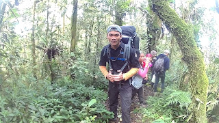Gunung barus atau Deleng Barus Tanah Karo, Sumatera utara