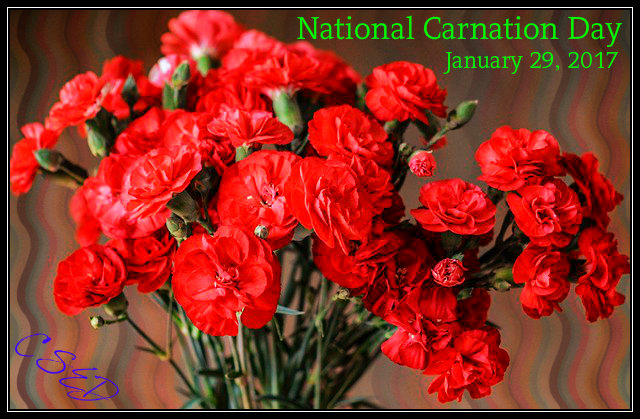 Crazy Days To Celebrate: January 2017