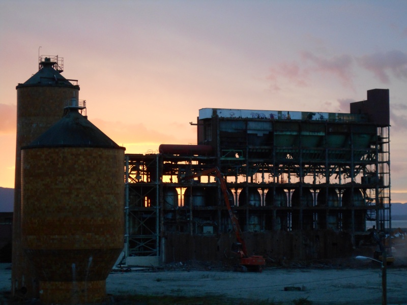 Editorials from Theslowlane: 2015