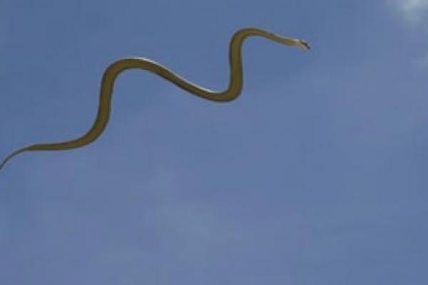 Welcome;Bienvenue;Willkommen;Bienvenidos.ようこそ: La ciencia revela el ...