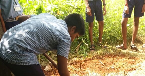 Generation Science : Plantation activity