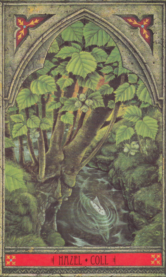 By the Sycamore Tree: Of Two Minds