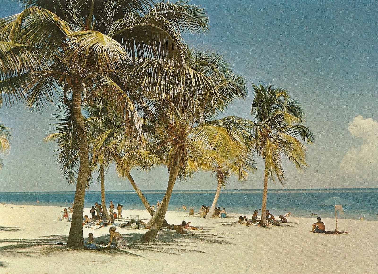 Vintage Travel Postcards: Florida Beaches Vintage Travel Postcards: Florida Beaches
