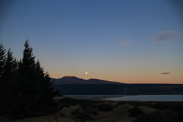 ink + adventure: Mount Cook and the "perfect" campsite