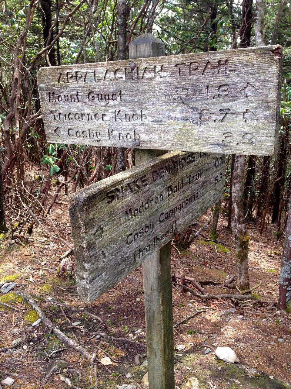 900 miles: Snake Den Ridge Trail