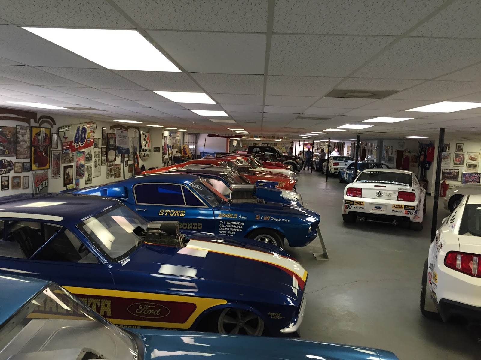 Stephen W Nolen Blog: #becauseRoadKill