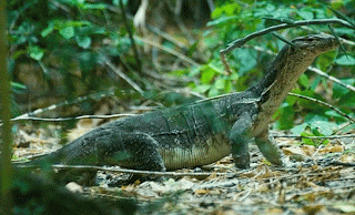 Guiding To Indonesia: Jakarta