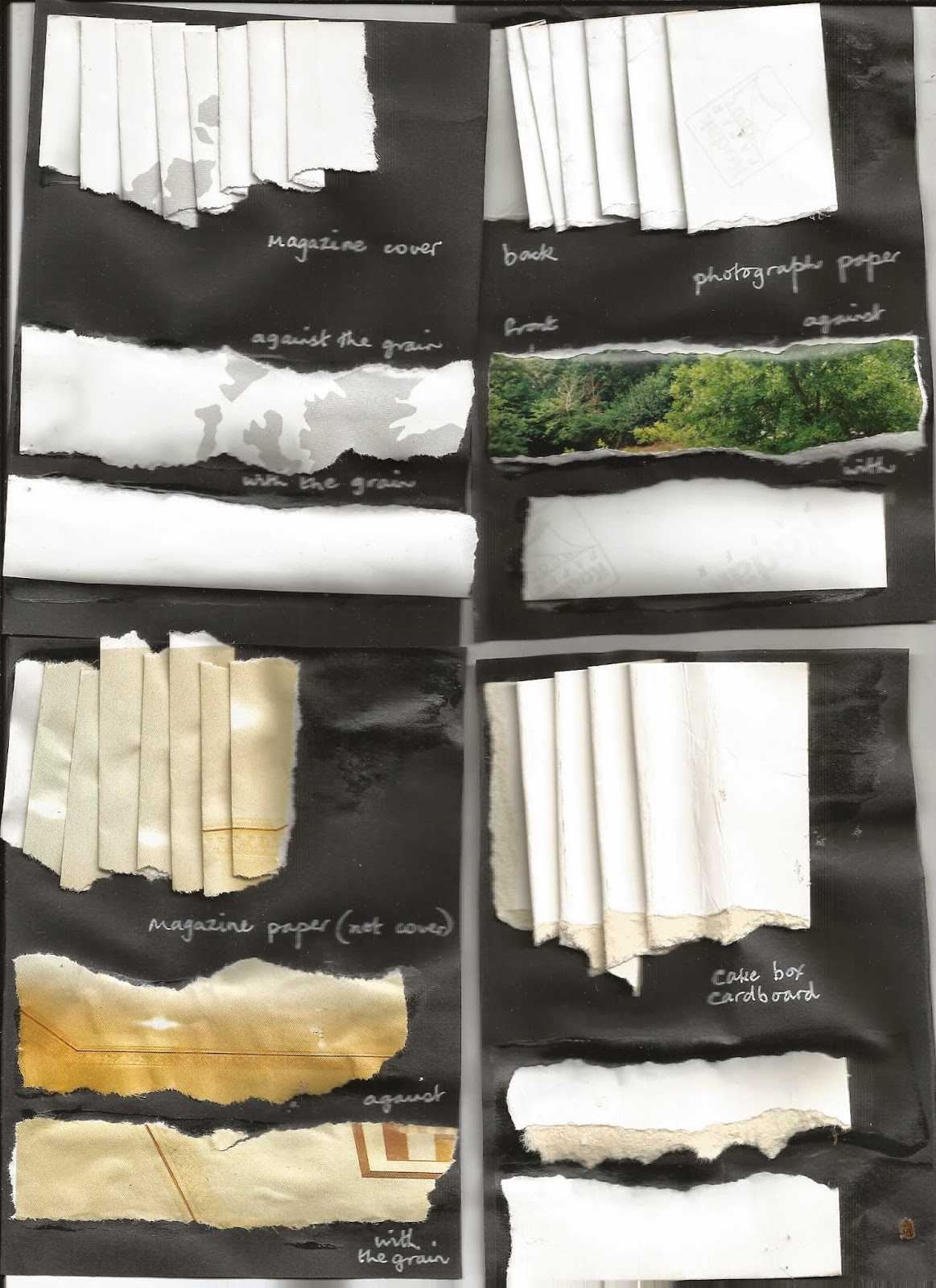 lmb3embroidery: Module 5 Chapter 2 Paper Relief Investigations