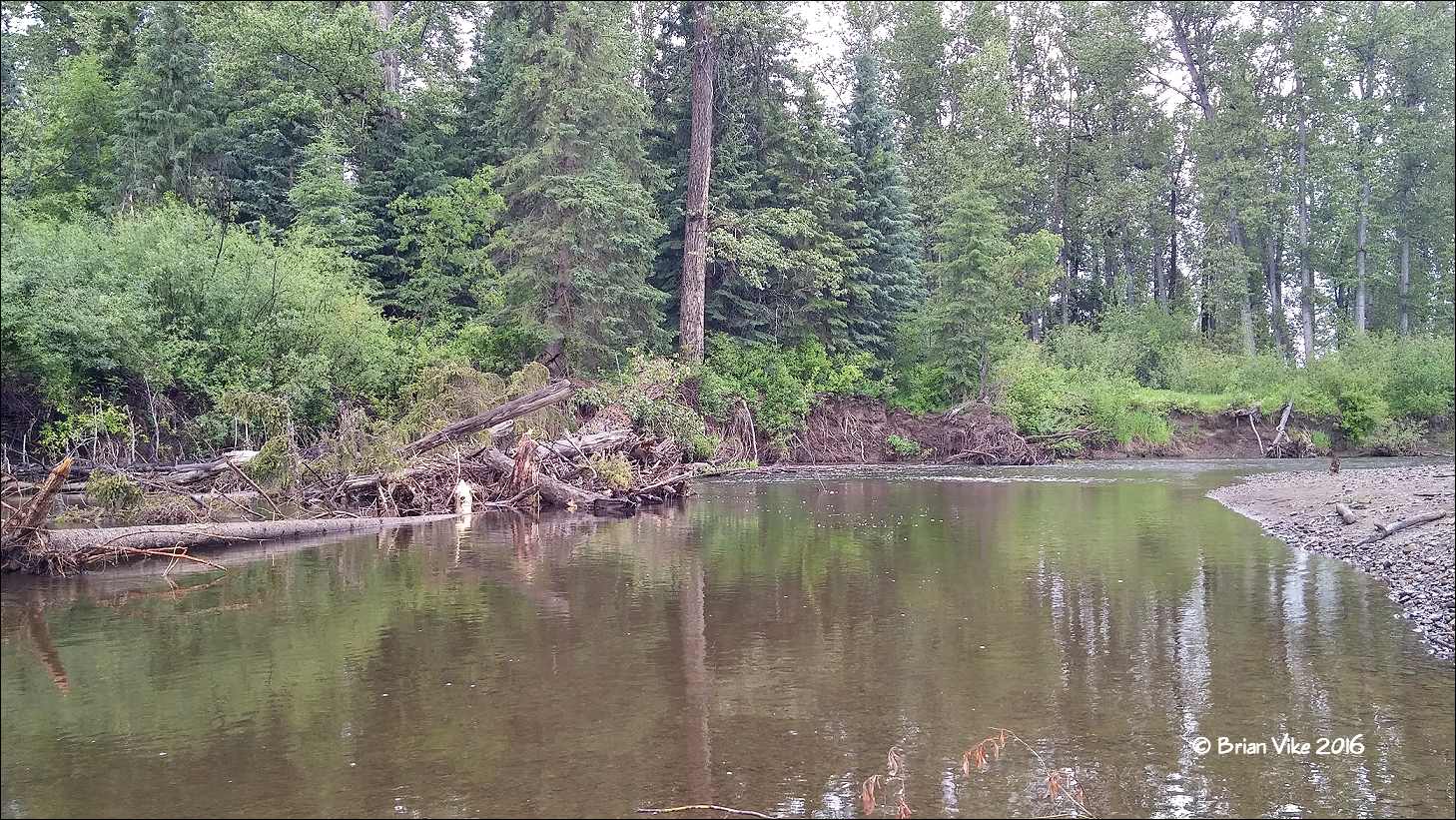 Northern Interior British Columbia: My Bulkley River 4 Houston British ...