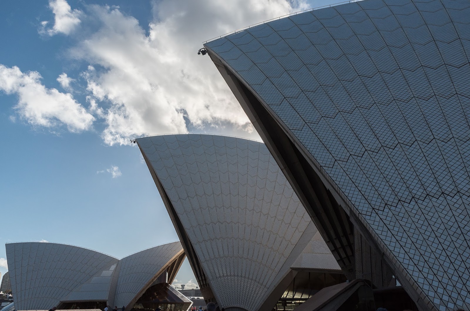 Seeing Nature: Sydney Opera House