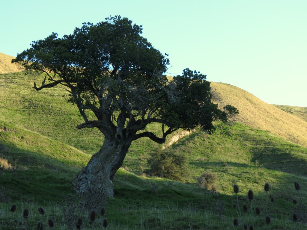 Jen & Flo's Adventures: Gisborne and surrounds