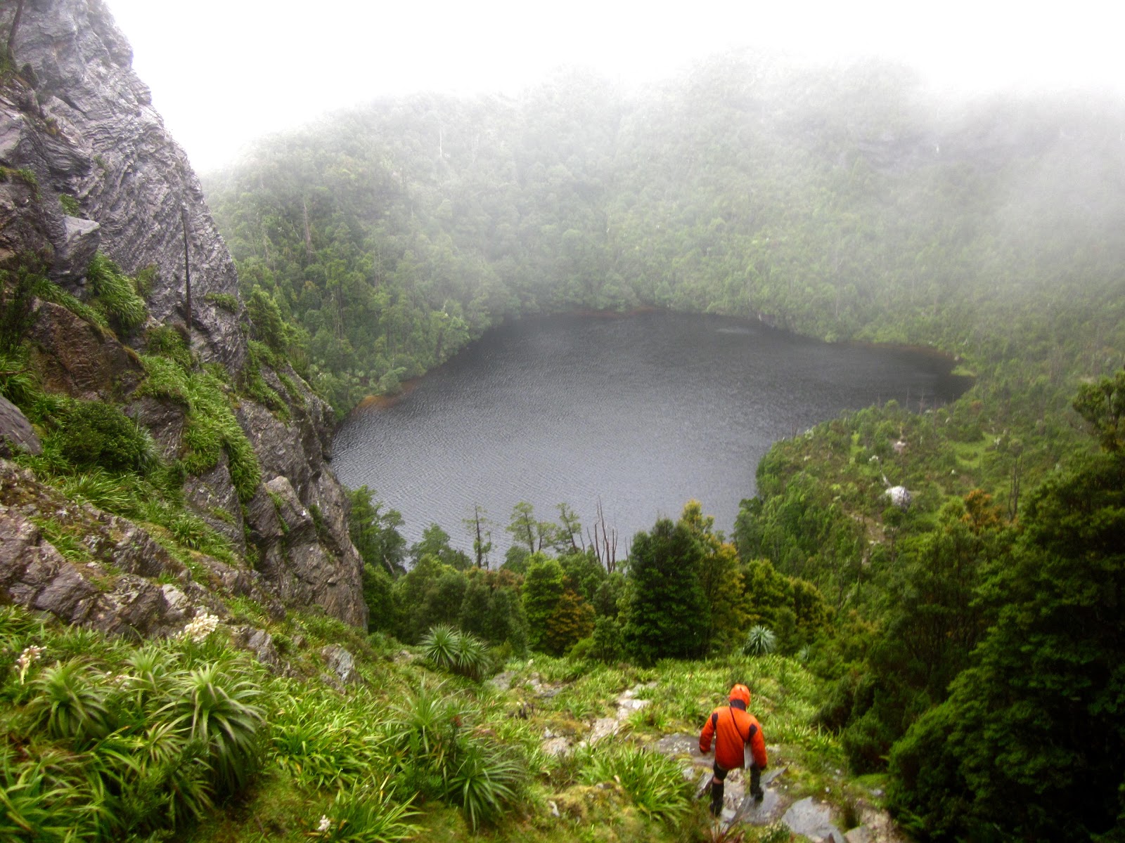 I Am Not Lost ... Just Wandering: Where Leeches Fall From Trees