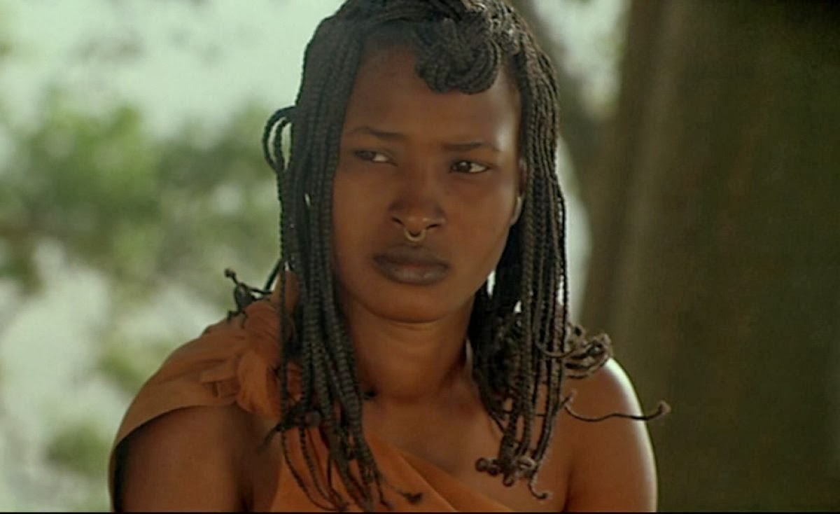 Apocalypse Now: A Personal History of African Cinema, 1966-2013
