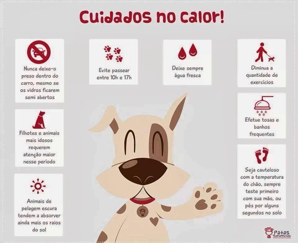 Família Pet Care: Cuidados com os cães no verão!