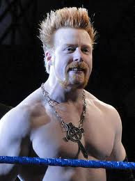 Wrestling Universe: American Porfessional Wrestler,Irish professional ...