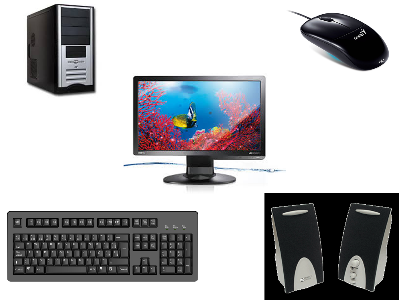 Proyecto Final de Submódulo 1 y 2. Capacitación en Informática ...