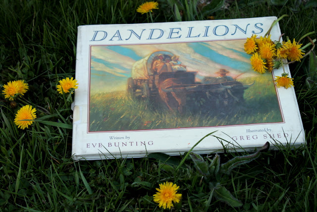 Books and Umbrellas: Dandelions by Eve Bunting & illustrated by Greg Shed