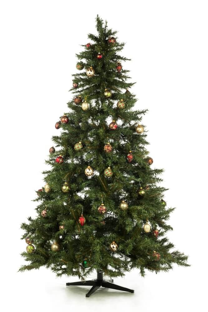 Christmas Tree Pics Free Download