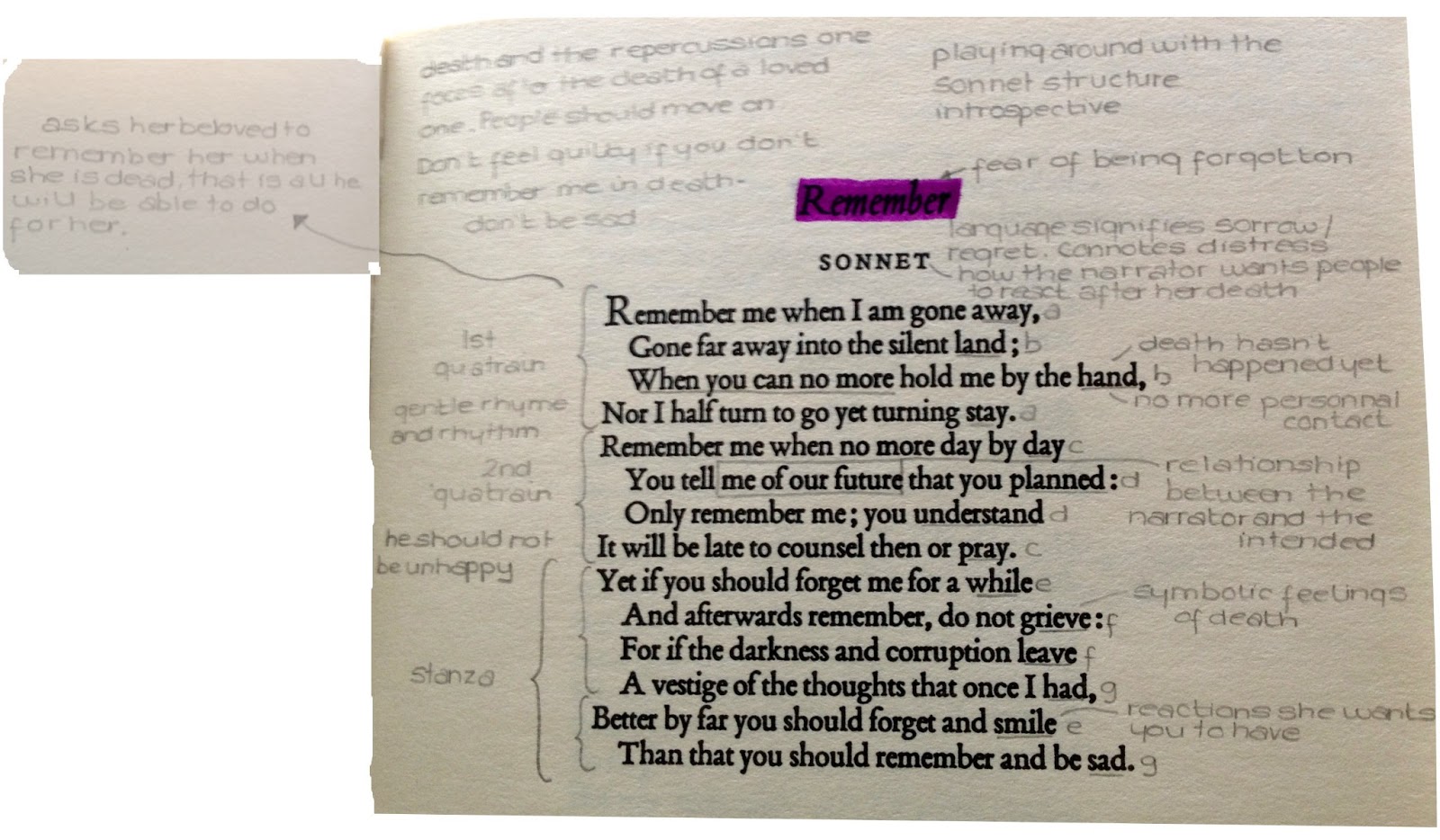 TeamEmAndMe: One Year of Remembering