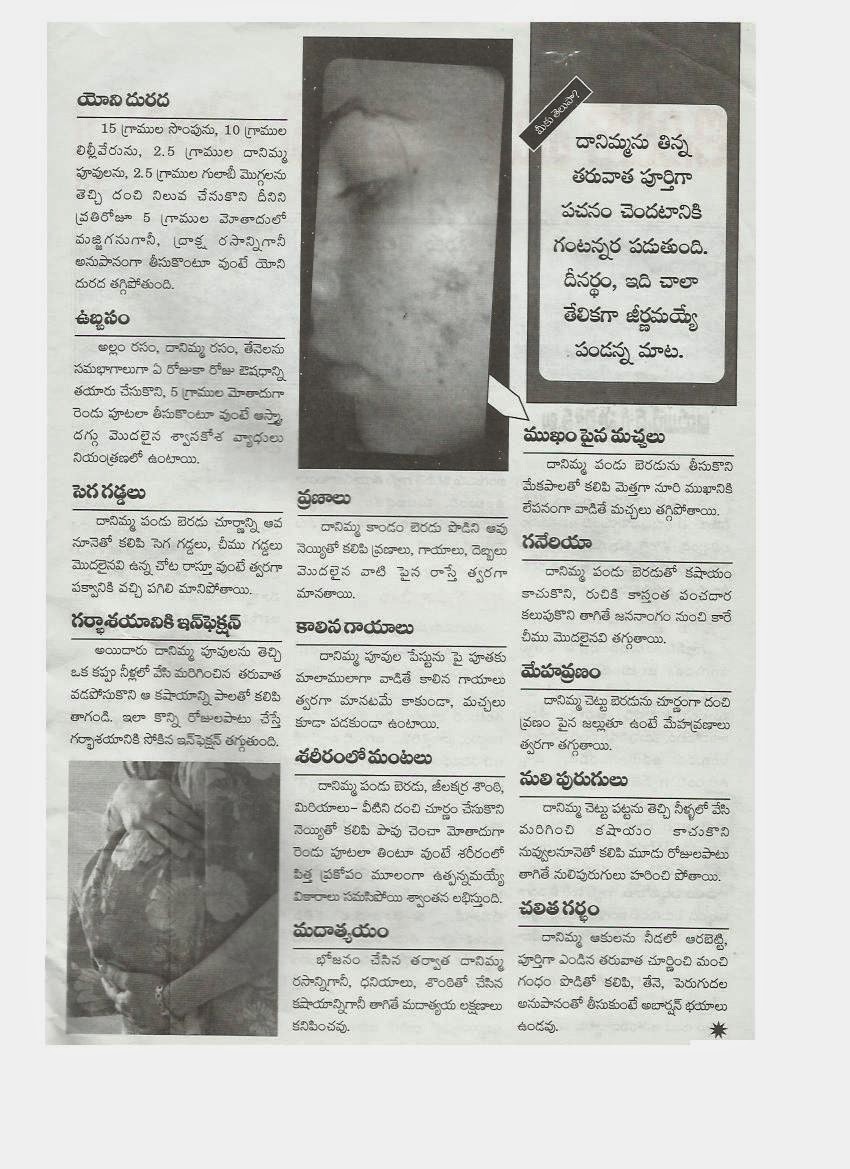 AYURVEDAM - ఆయుర్వేదం: HEALTH BENEFITS AND IMPORTANCE OF POMEGRANATE ...