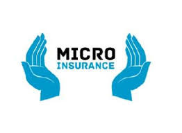 Definitions of microinsurance ~ Asuransi Mikro