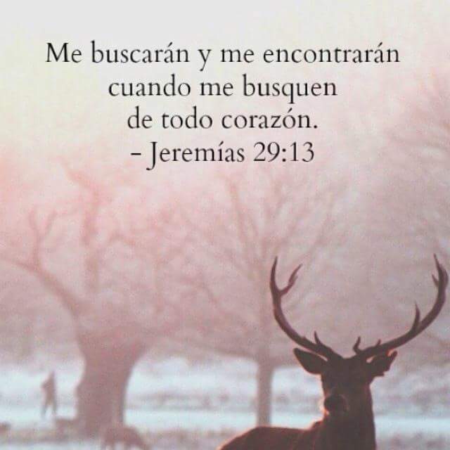 MIGAS de PAN en el camino: Es tiempo de BUSCAR a DIOS con todo el corazón!