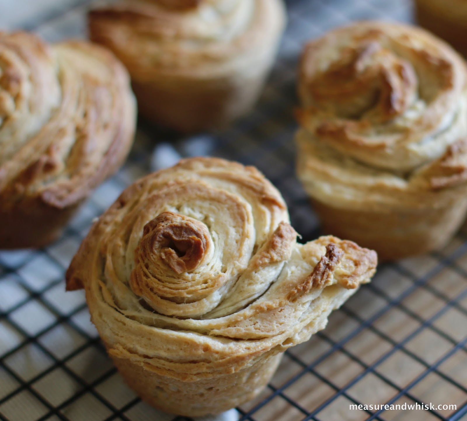 Cinnamon Sprinkled Croissant Rolls | Measure & Whisk: Real food cooking ...