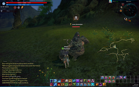 Tera Online Guides: Tera Online Map Interface