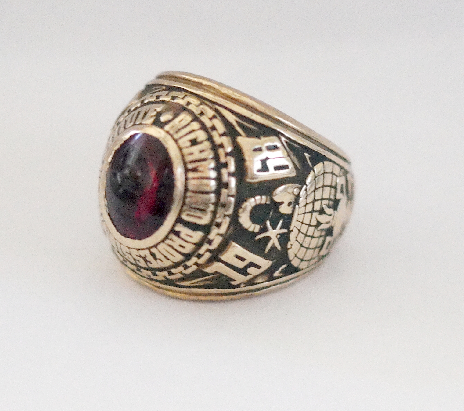 Rhonda's Escape: College Reunion - 50 Years