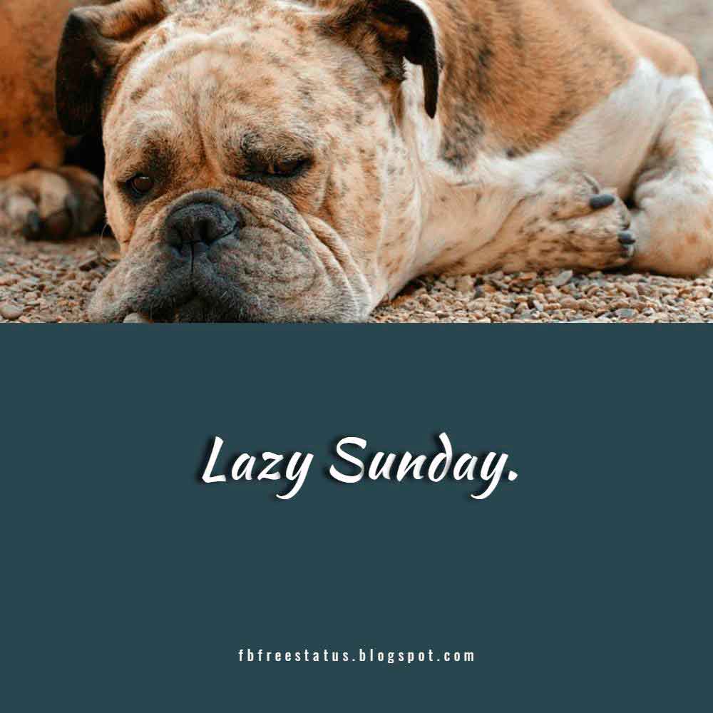 Funny & Inspirational Sunday Quotes With Funny Sunday Memes