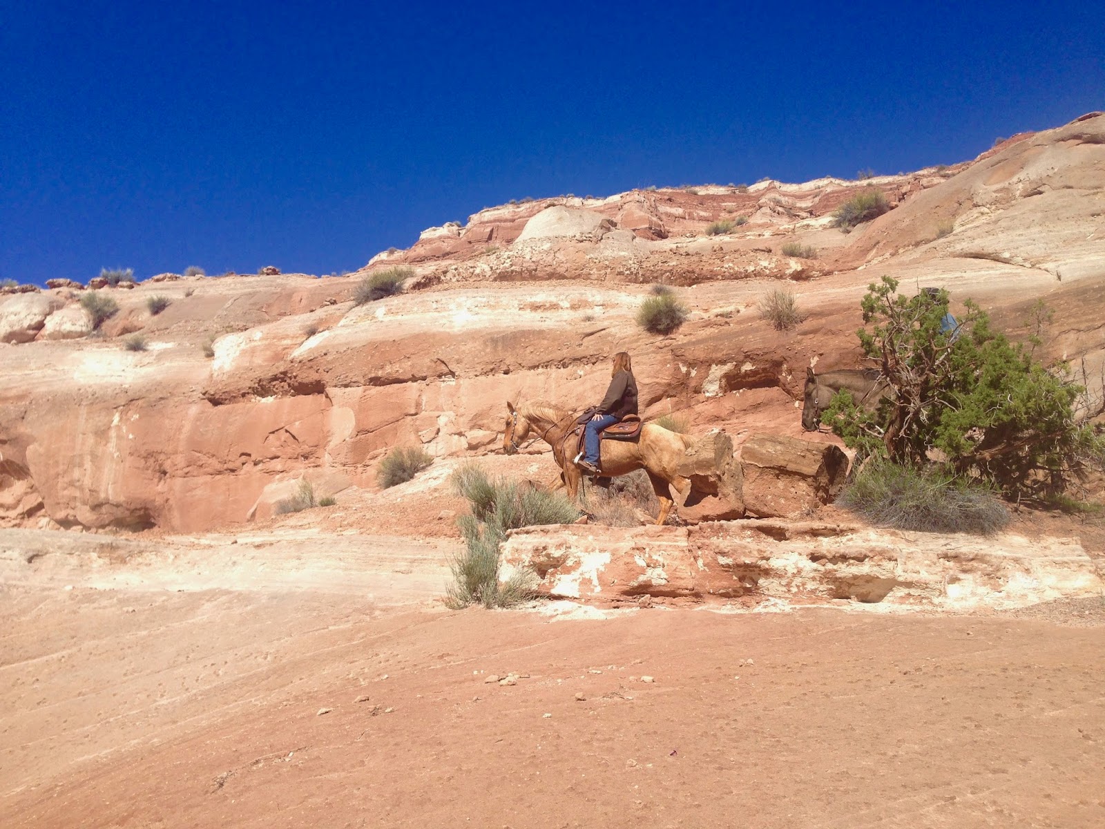 Camping and Horses : PARIA RIVER RANCH SOUTHERN UTAH