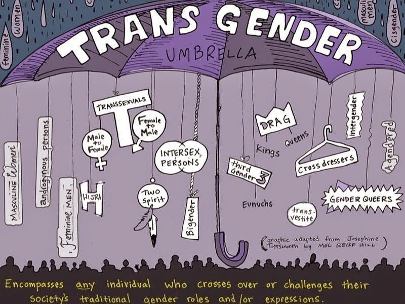 Defining Gender, Sexuality & Identity : Trans*