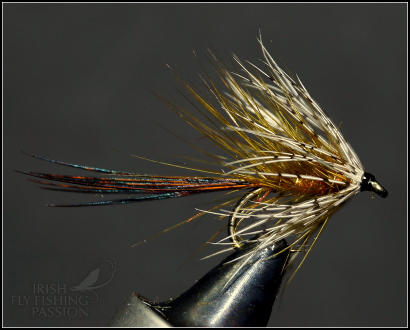 Irish fly fishing passion: Wet Mayfly