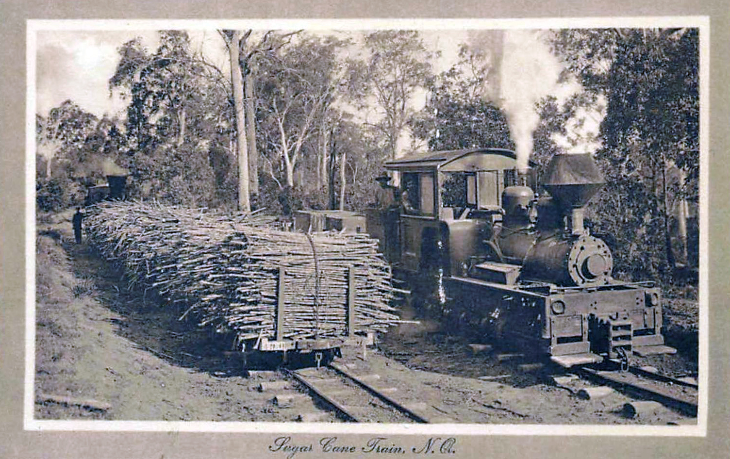 transpress nz: very small boilered sugar cane railway steam loco, north ...