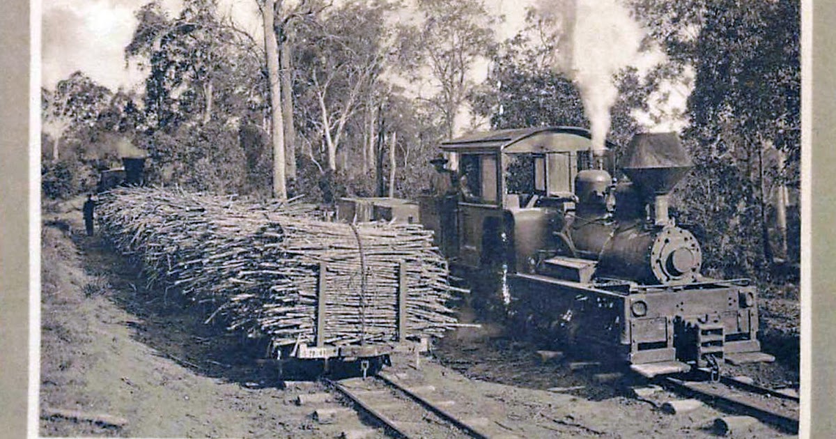 transpress nz: very small boilered sugar cane railway steam loco, north ...