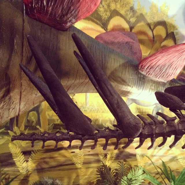 Rocks in her head: A visit to the National Dinosaur Museum