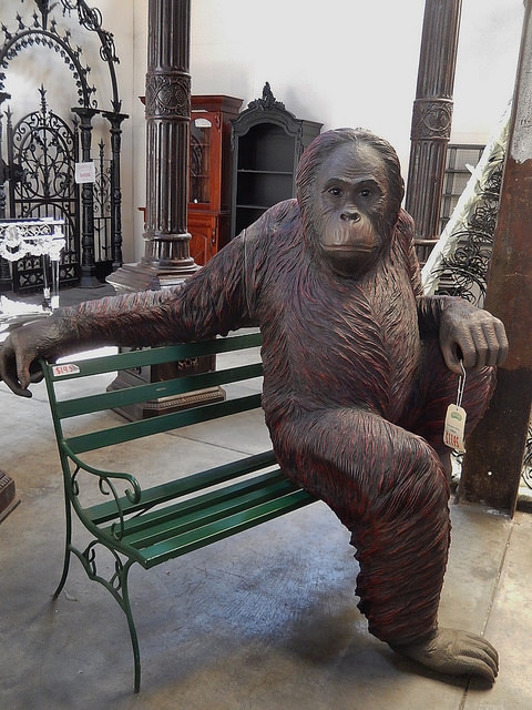 benchsite: 2016 The Year of the Monkey Bench