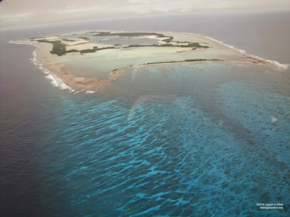 Librarian on Palmyra Atoll: Finally some good aerial photos of Palmyra ...