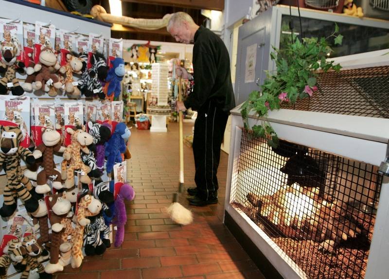 The Digital Research Library of Illinois History Journal™ : Lambs Farms ...